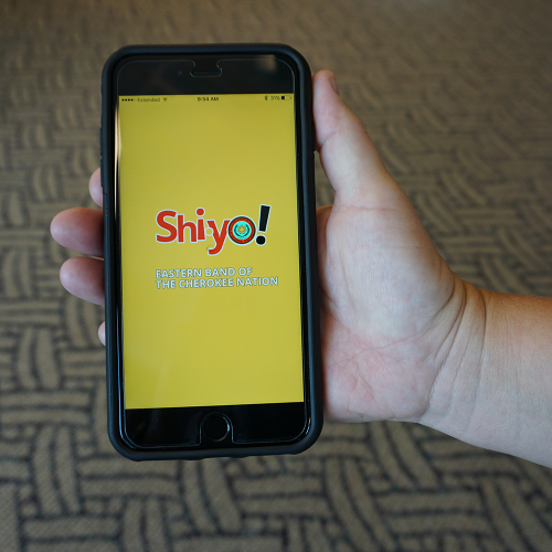 Shiyo : Cherokee Language Engine : Basic Vocabulary